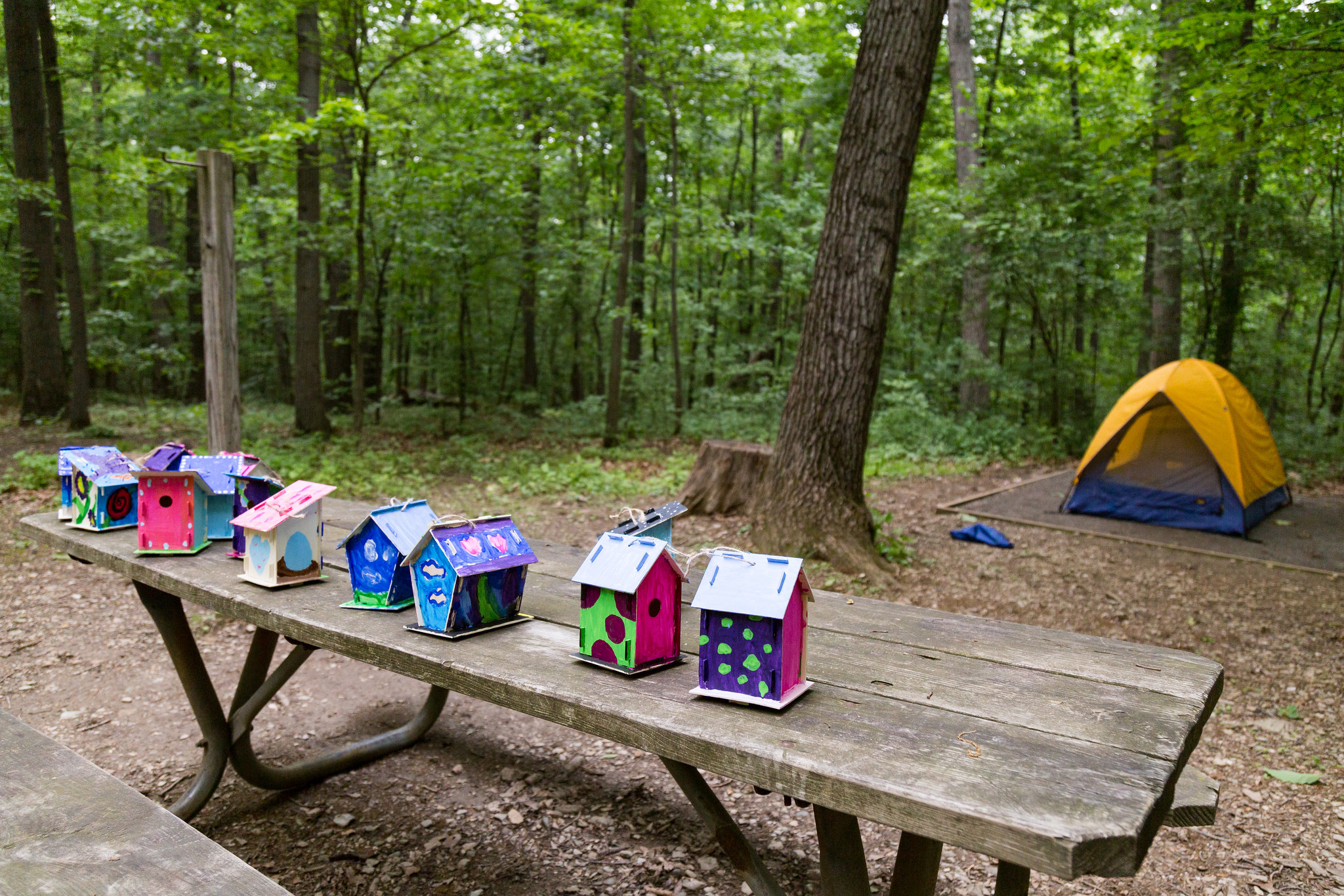 Little Bennett Campground - Camping Options - Montgomery Parks