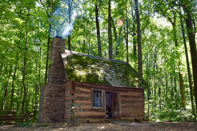 Brookside Nature Center - Exhibits - Montgomery Parks