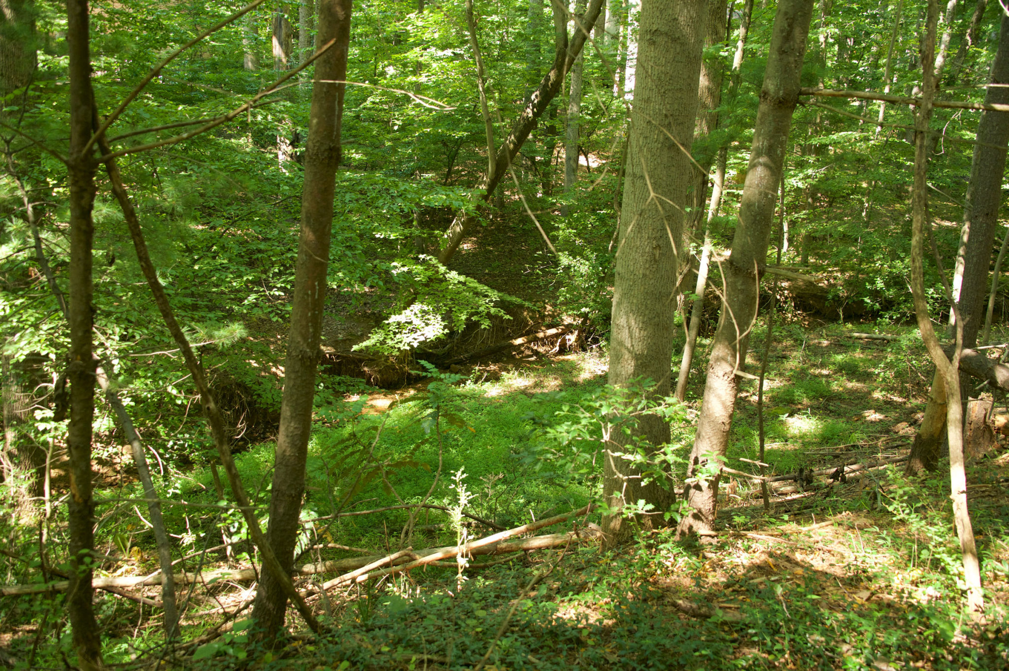 Montgomery County Parks