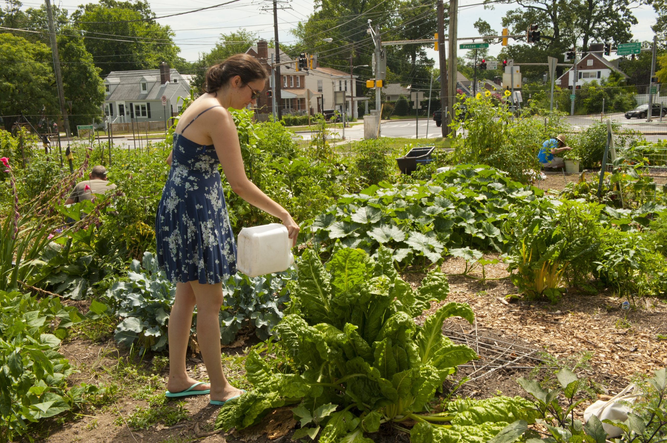Community Gardens - Montgomery Parks