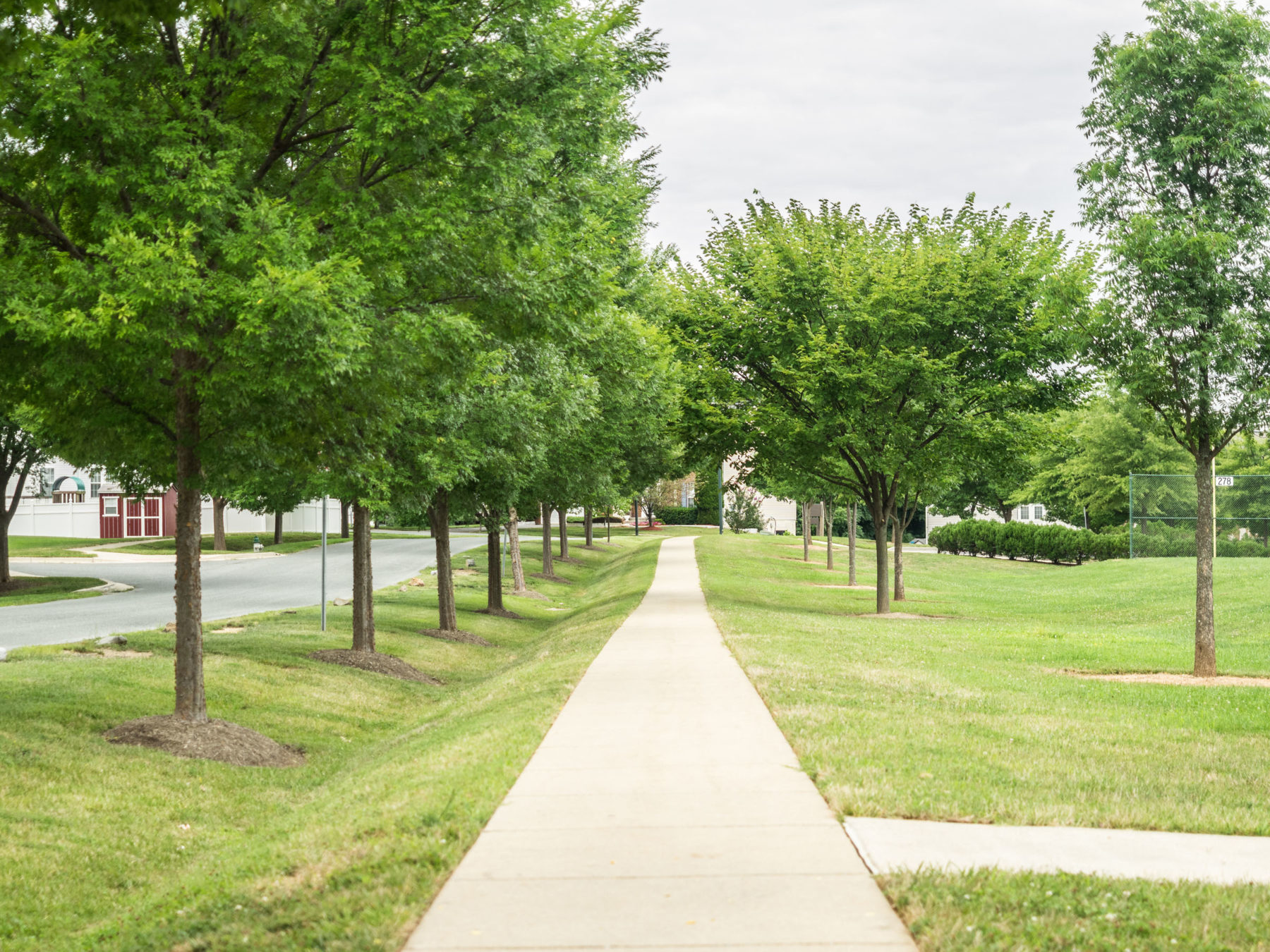 Montgomery County Parks
