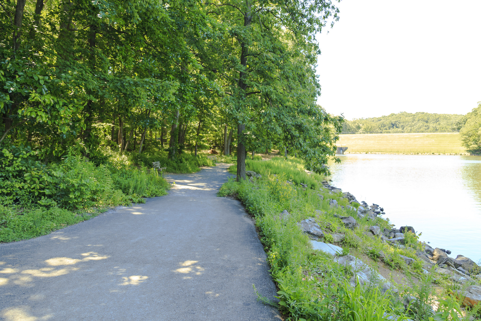 Montgomery County Trails