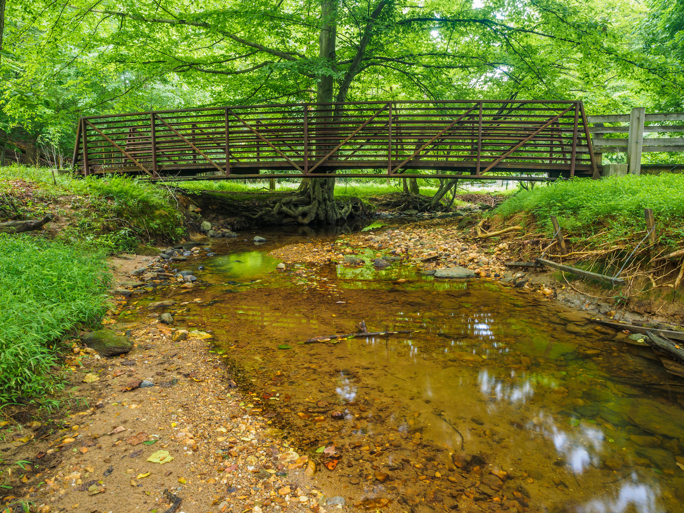 Norbeck Meadows Neighborhood Park - Montgomery Parks