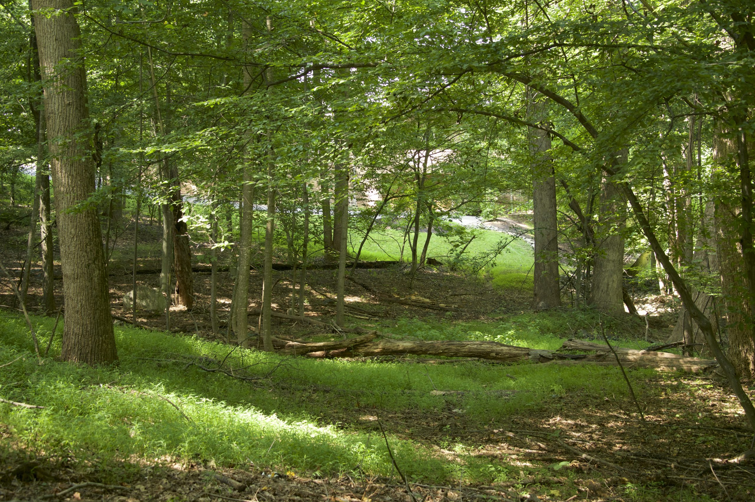 Rock Run Stream Valley Park - Montgomery Parks