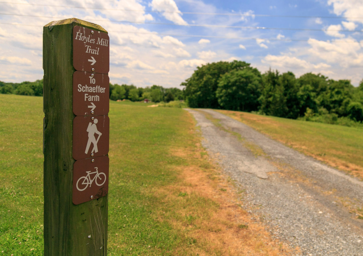 Montgomery County Trails