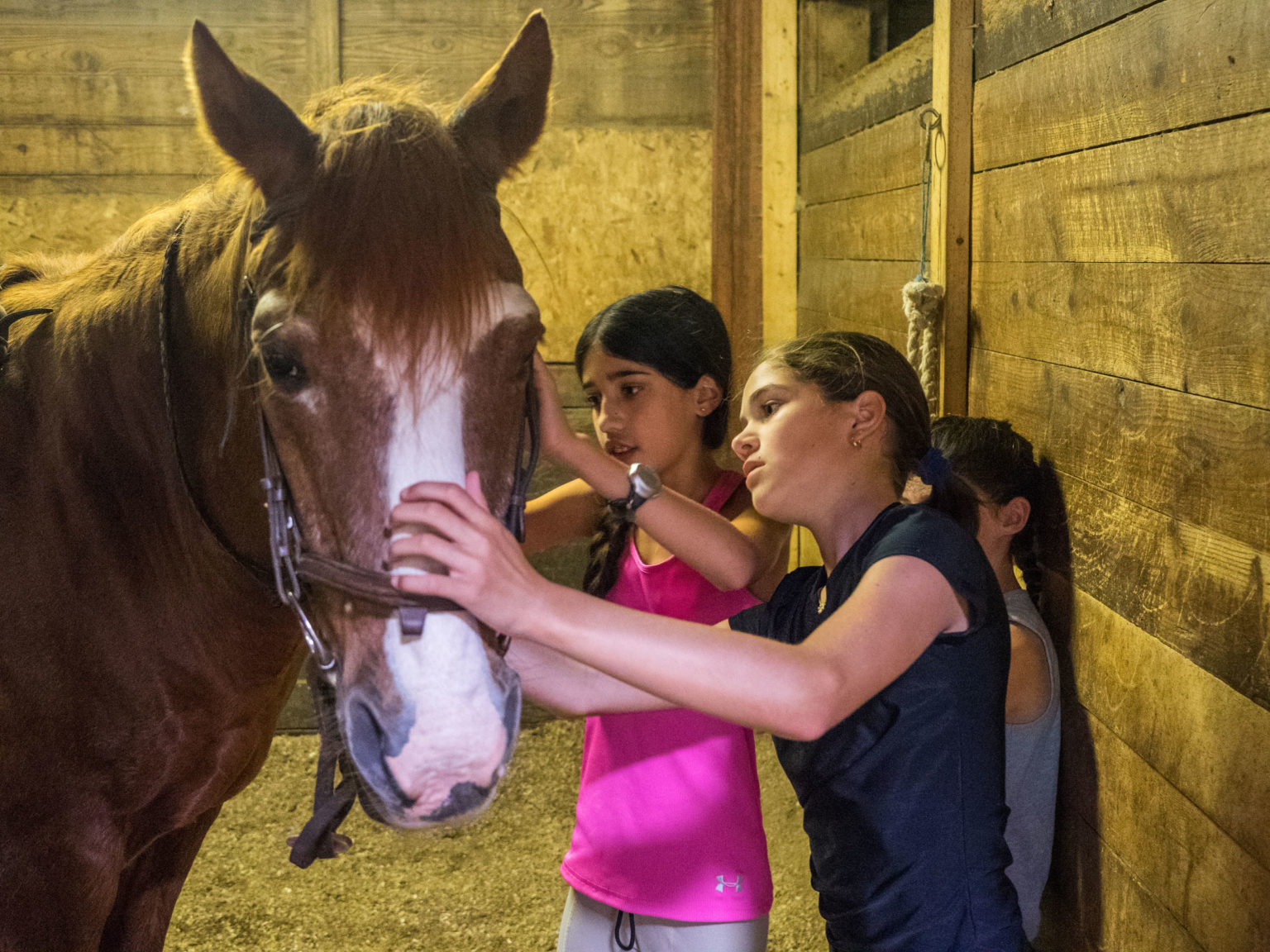 Equestrian Activities - Montgomery Parks
