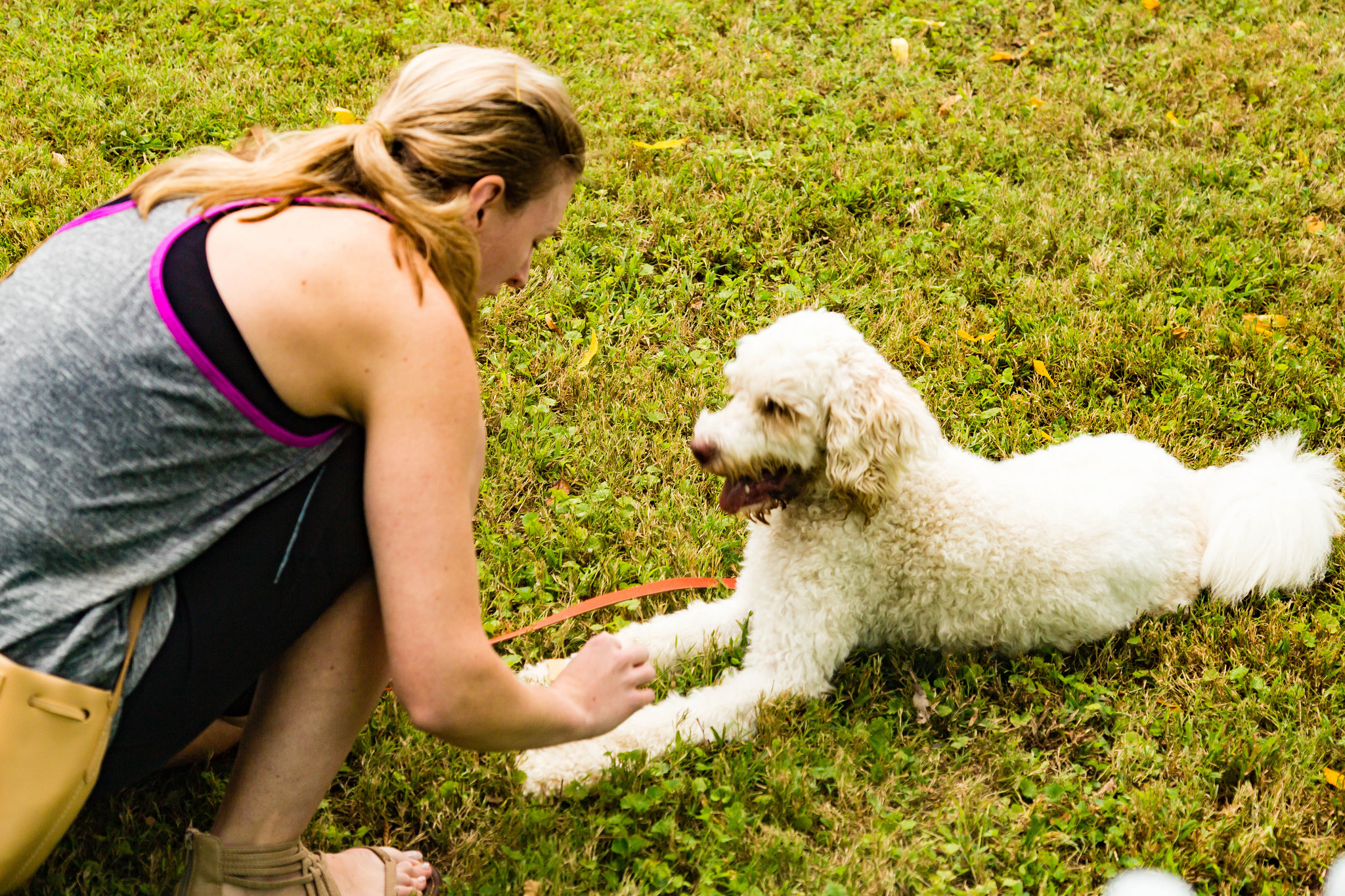 Ellsworth Urban Dog Park - Montgomery Parks
