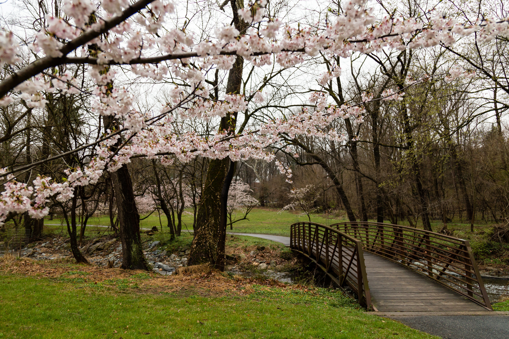Sligo Creek Stream Valley Park - Montgomery Parks