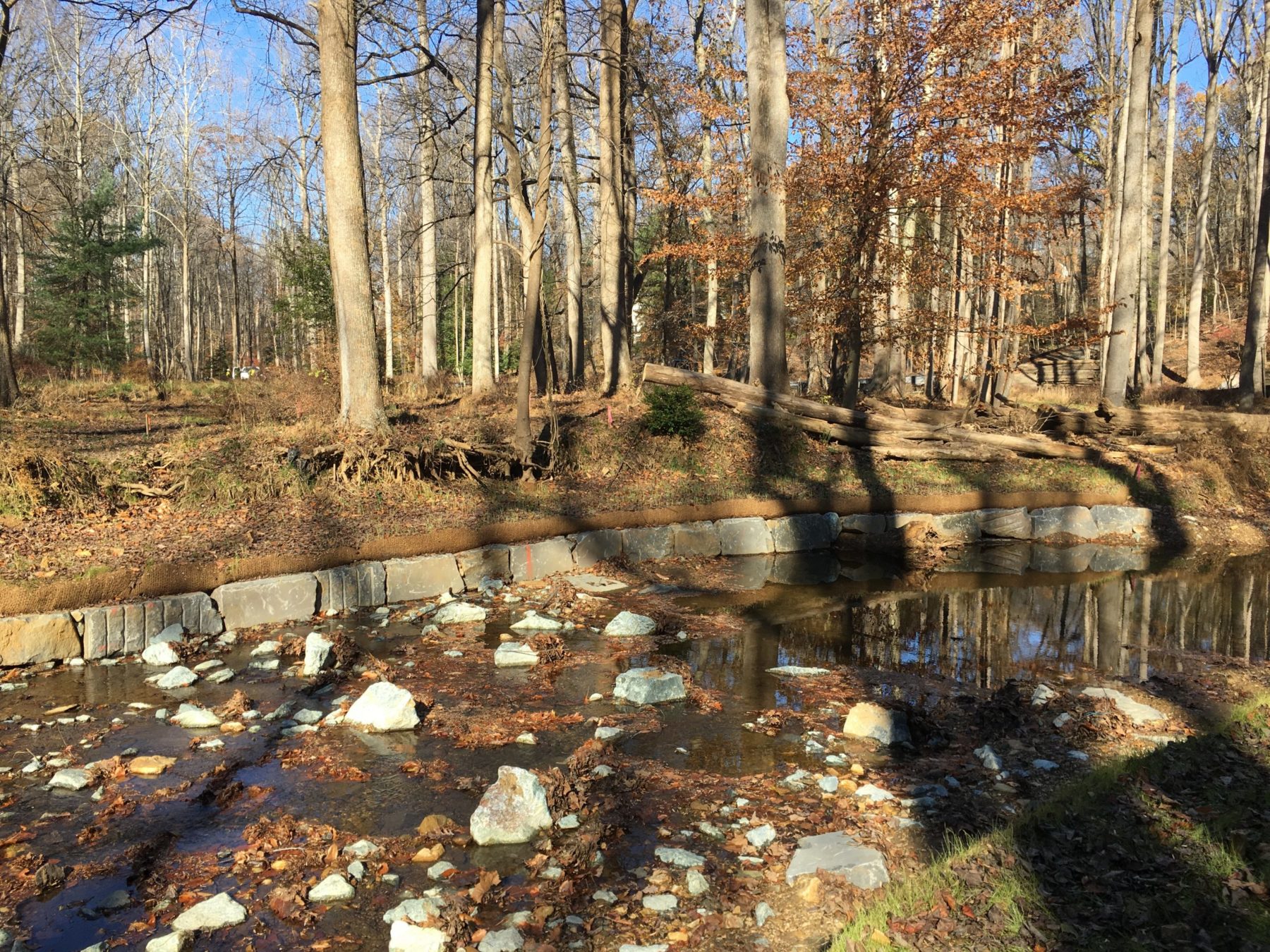 Environmental Restoration, Stormwater Retrofit and Stormwater Outfall ...