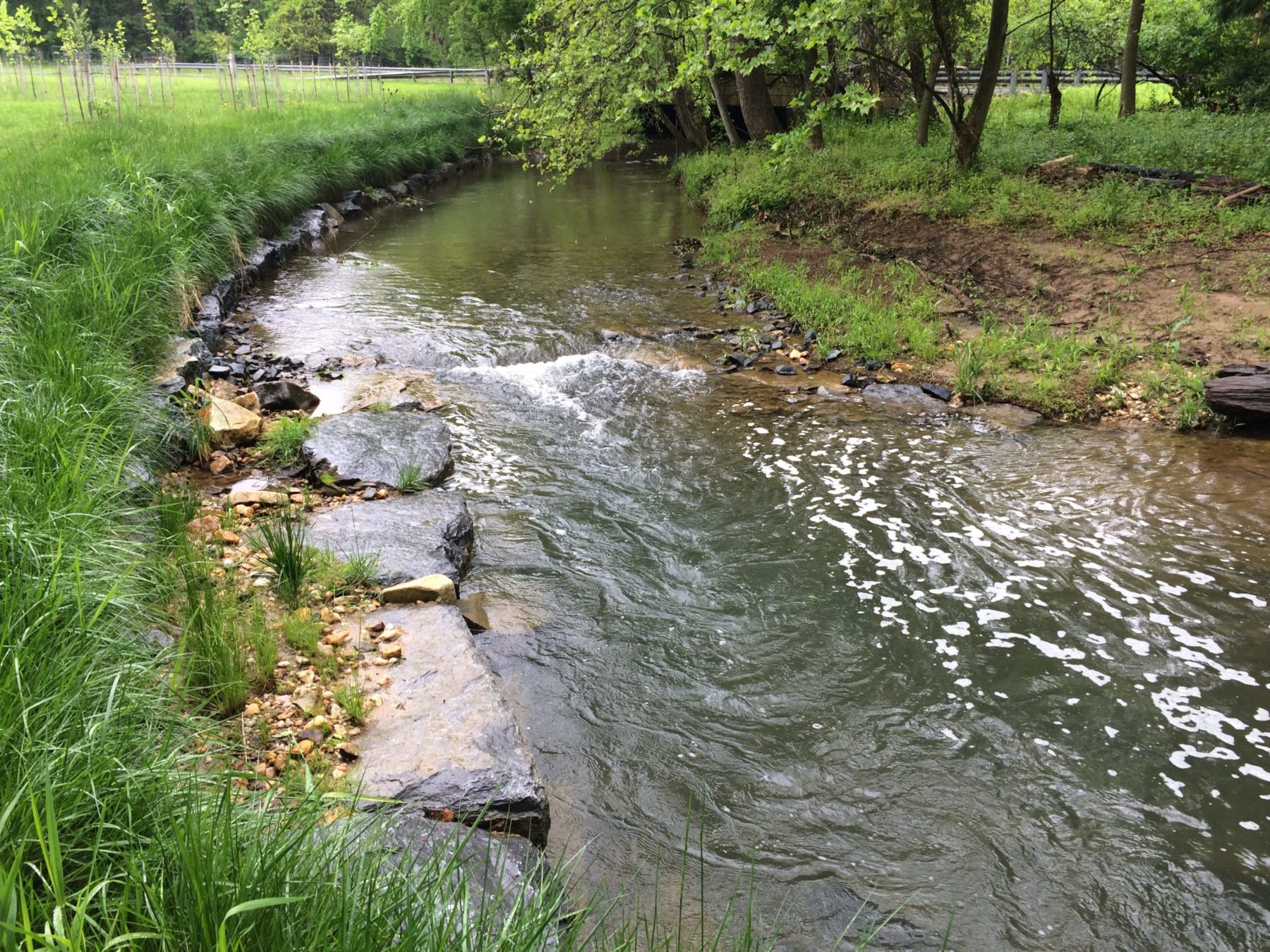 Environmental Restoration, Stormwater Retrofit and Stormwater Outfall ...
