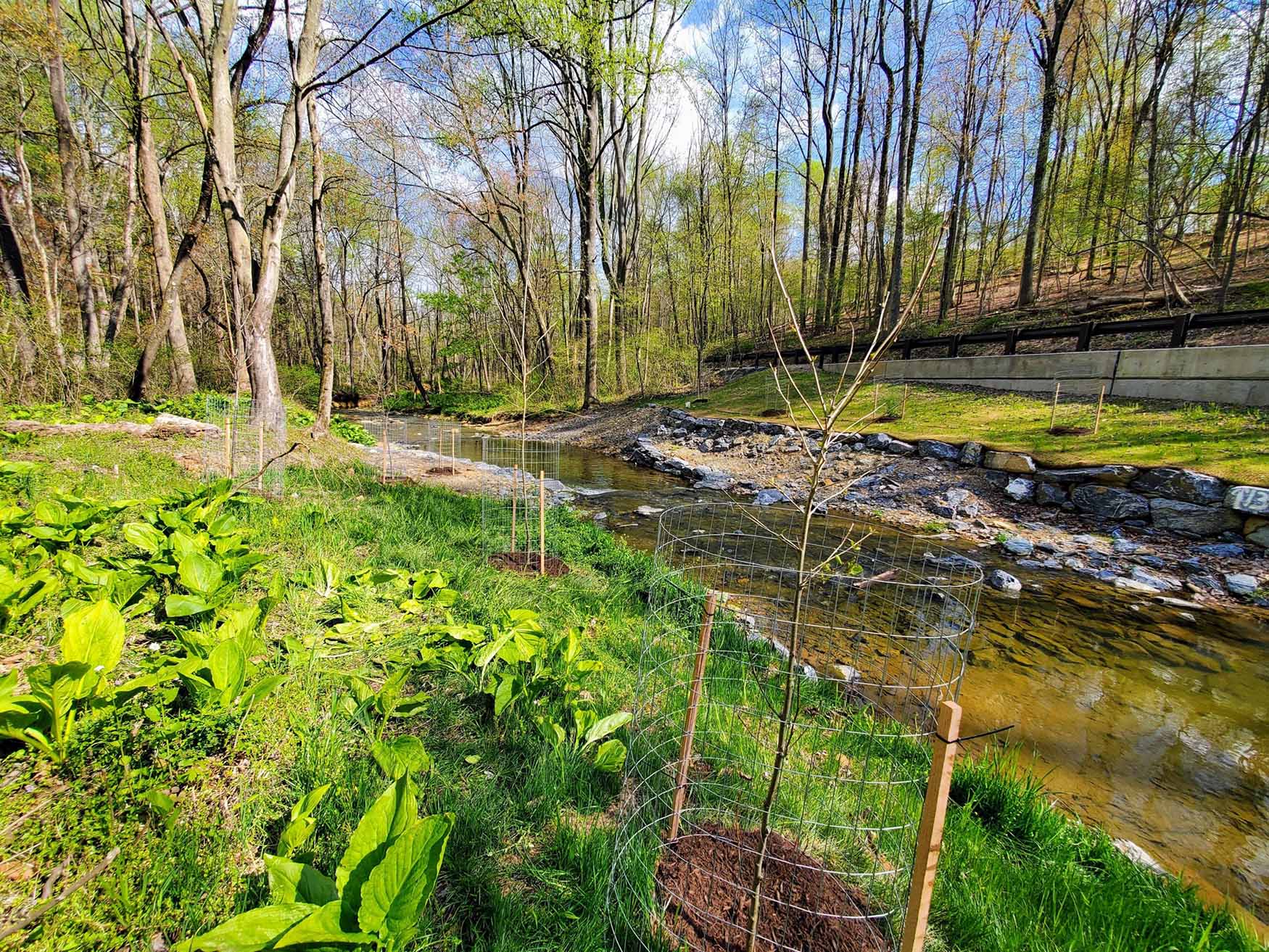 Stream Restoration Program - Montgomery Parks