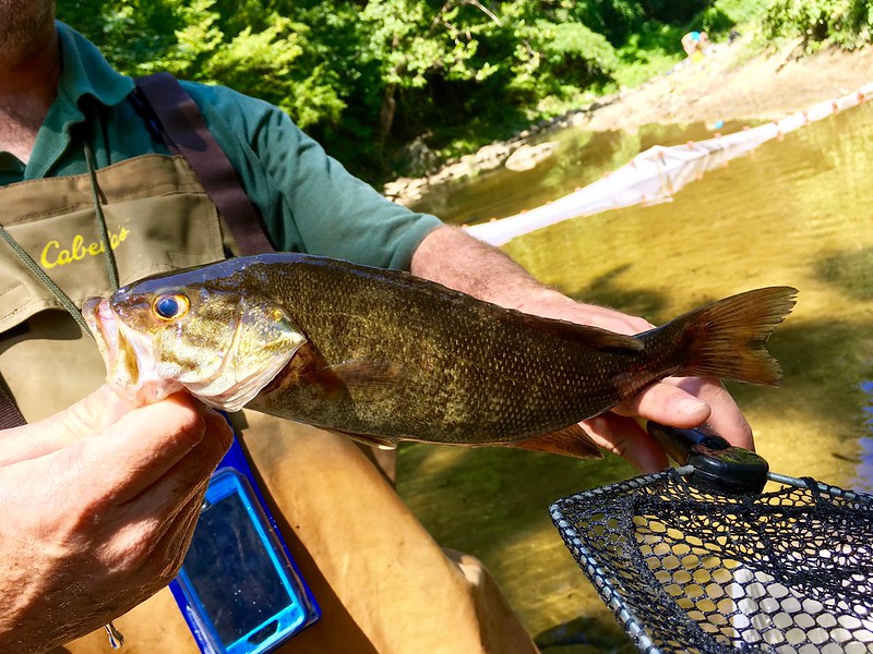 Fishing in Montgomery Parks - Montgomery Parks