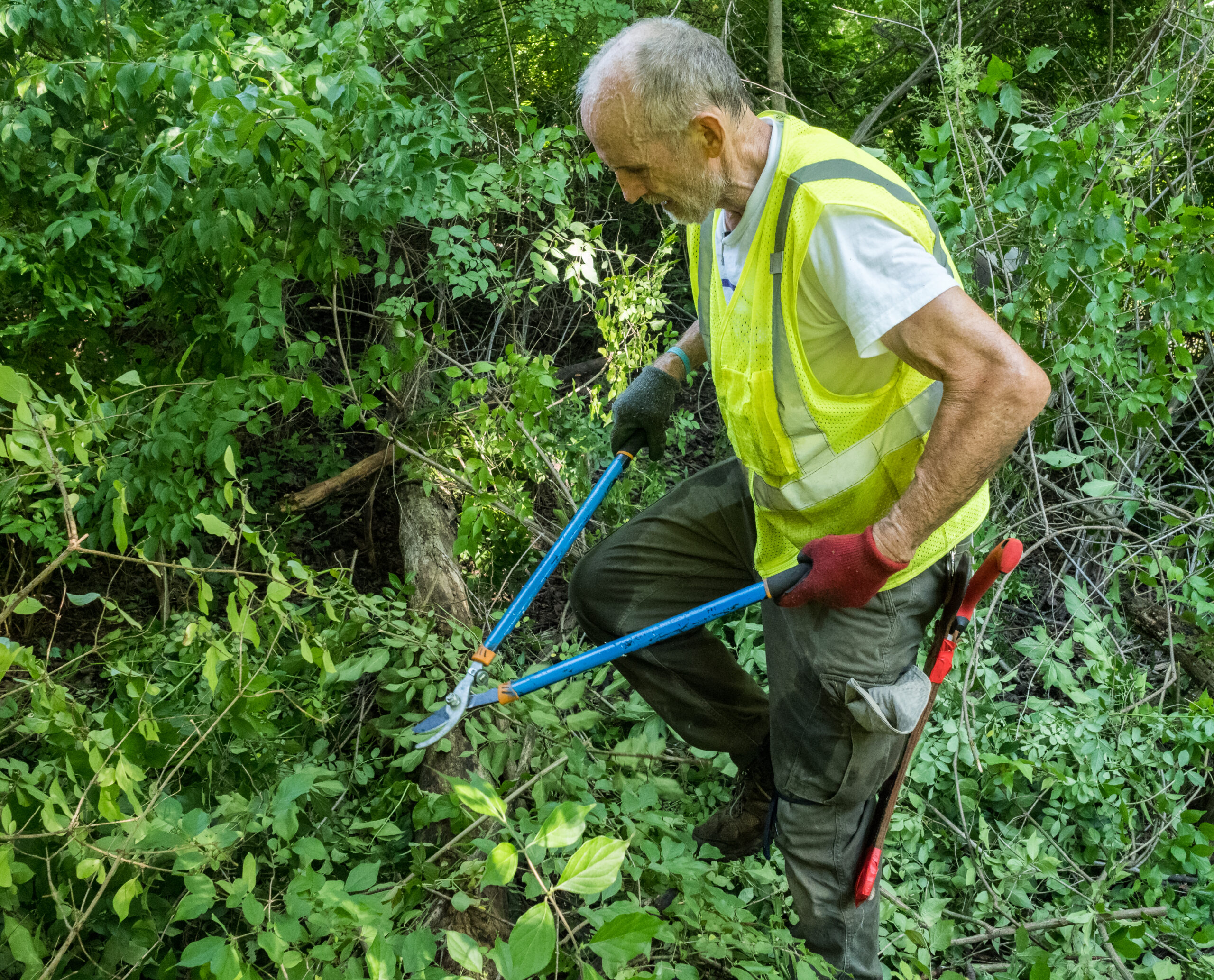 REGISTRATION CLOSED - Weed Warrior Workday at Oakley Cabin African ...