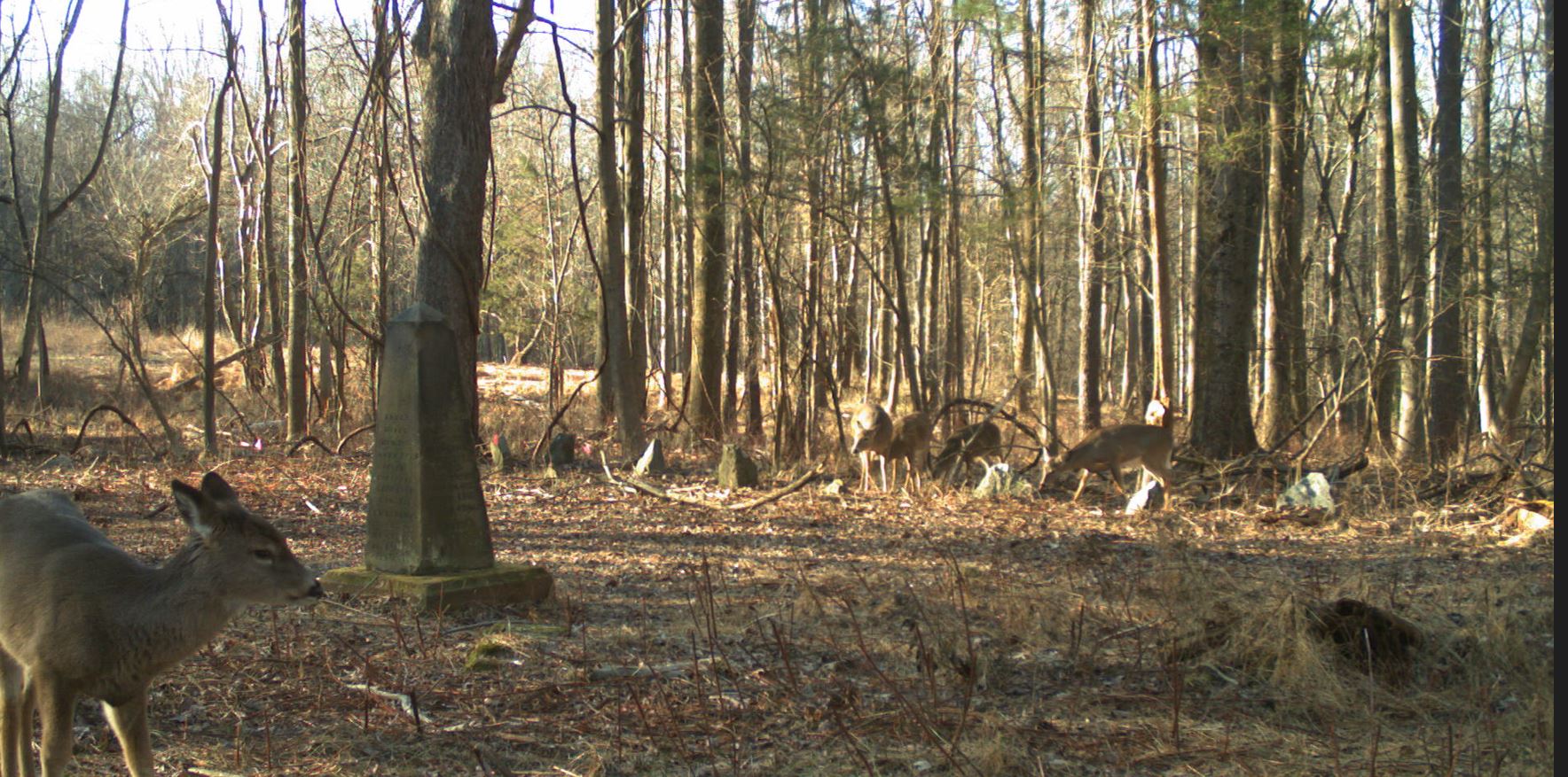 Prather Family Cemetery - Montgomery Parks