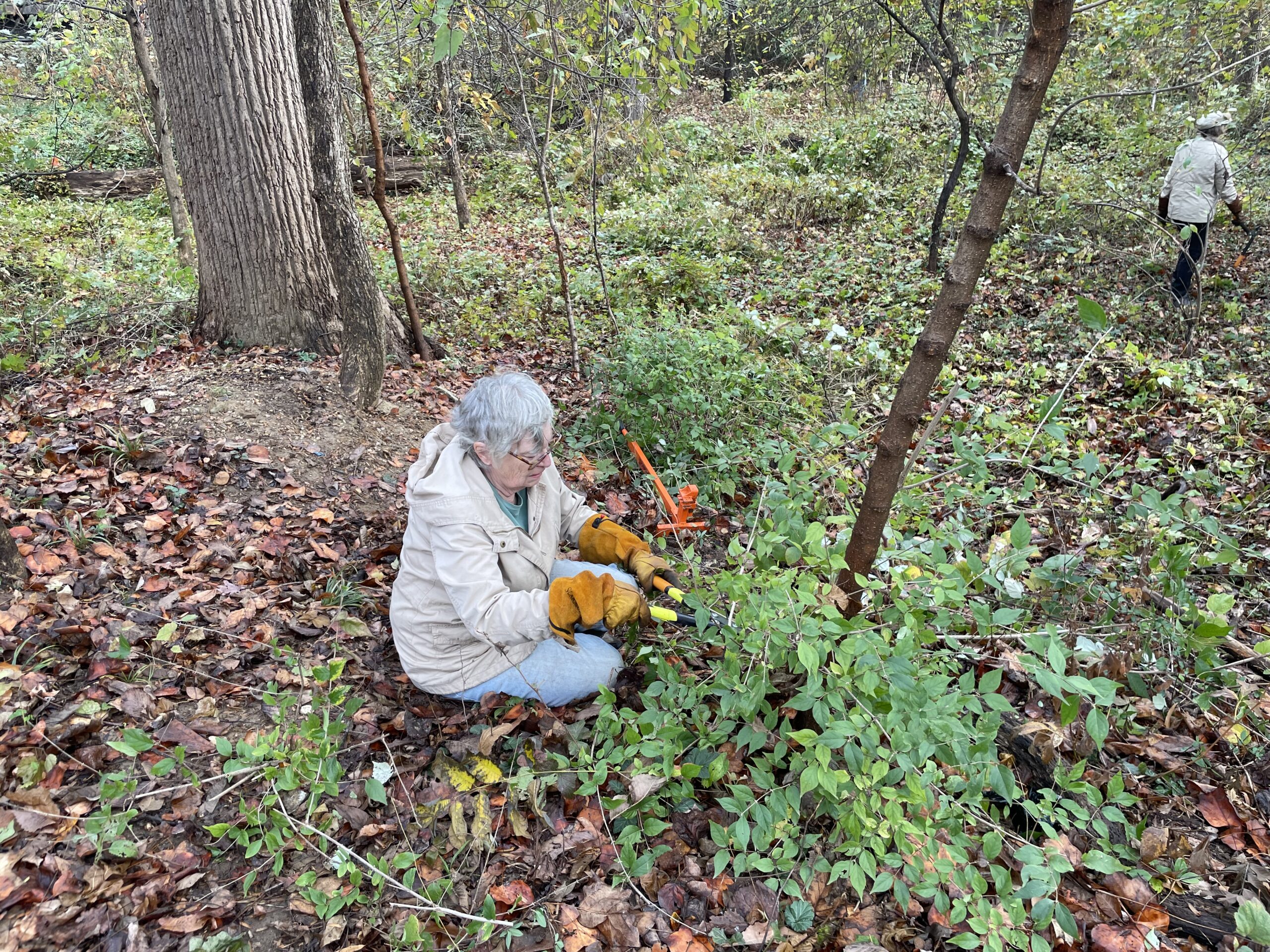 **CANCELED** Weed Warrior Workday at Long Branch-Wayne Local Park ...