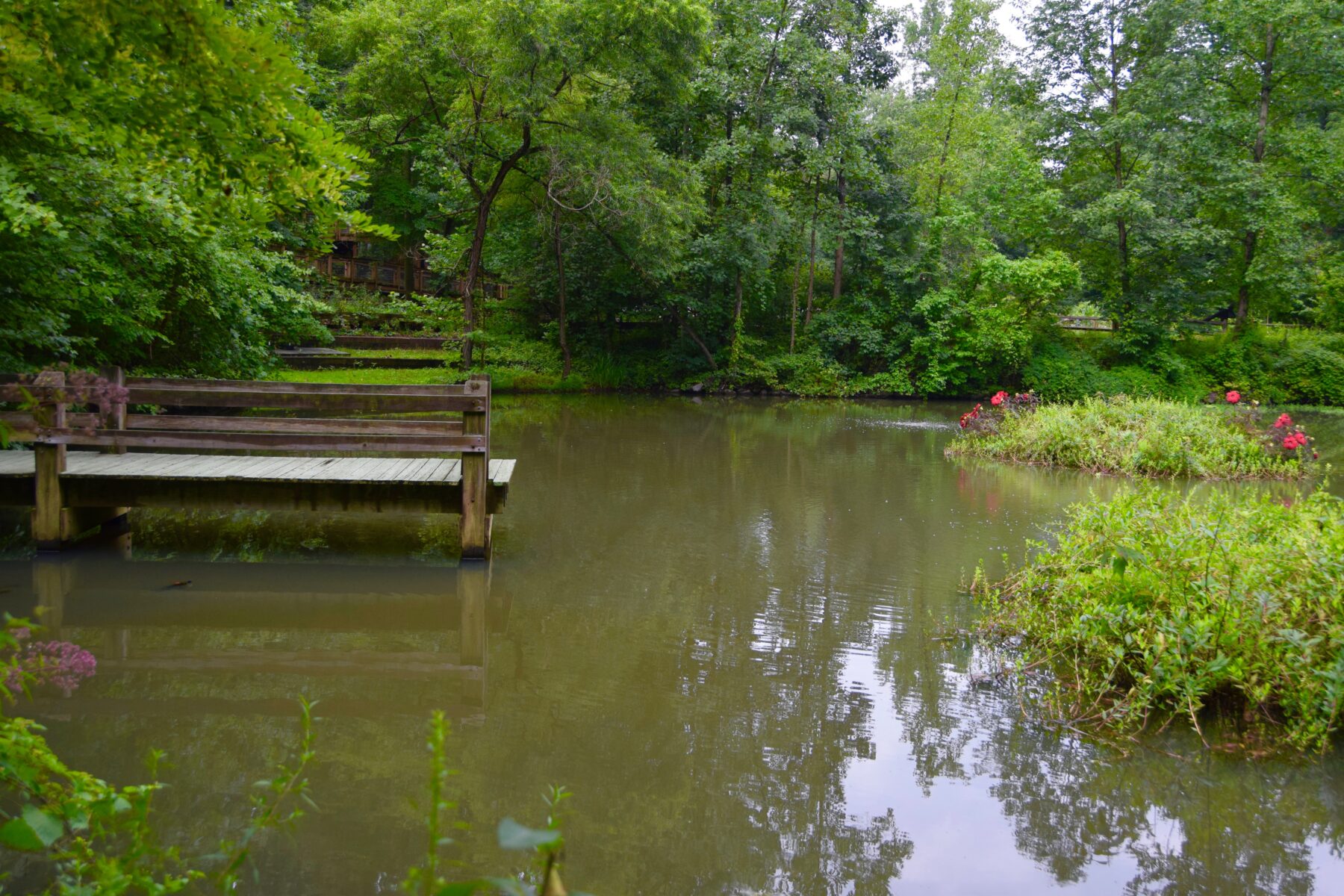 Brookside Nature Center - Social Narrative - Montgomery Parks