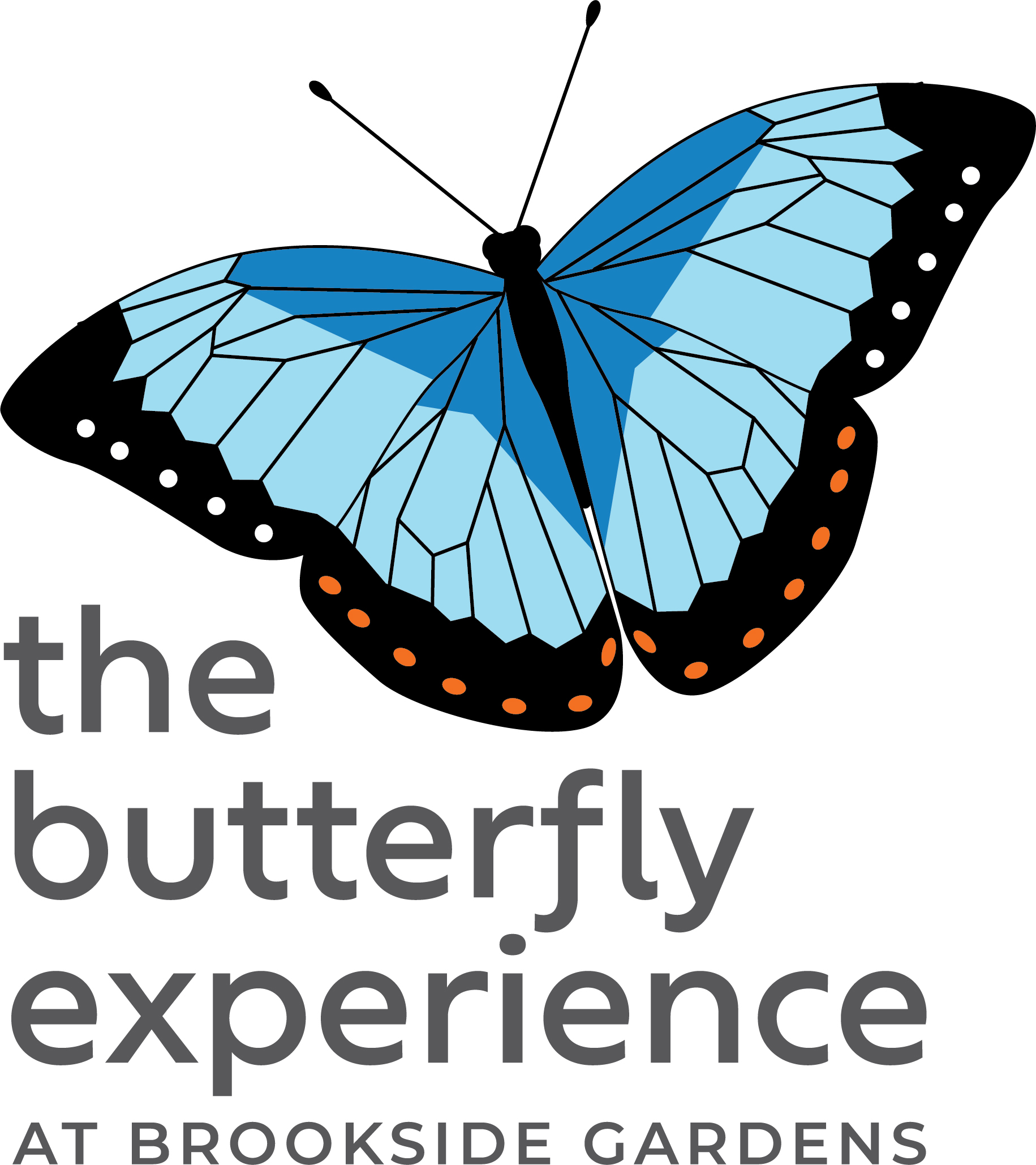 The Butterfly Experience at Brookside Gardens - Montgomery Parks