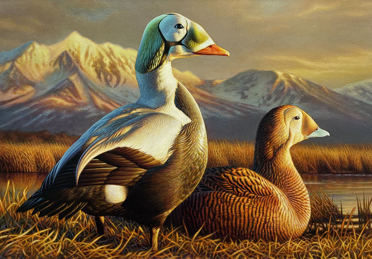 Montgomery Parks hosts free exhibit of Federal Duck Stamp art contest ...