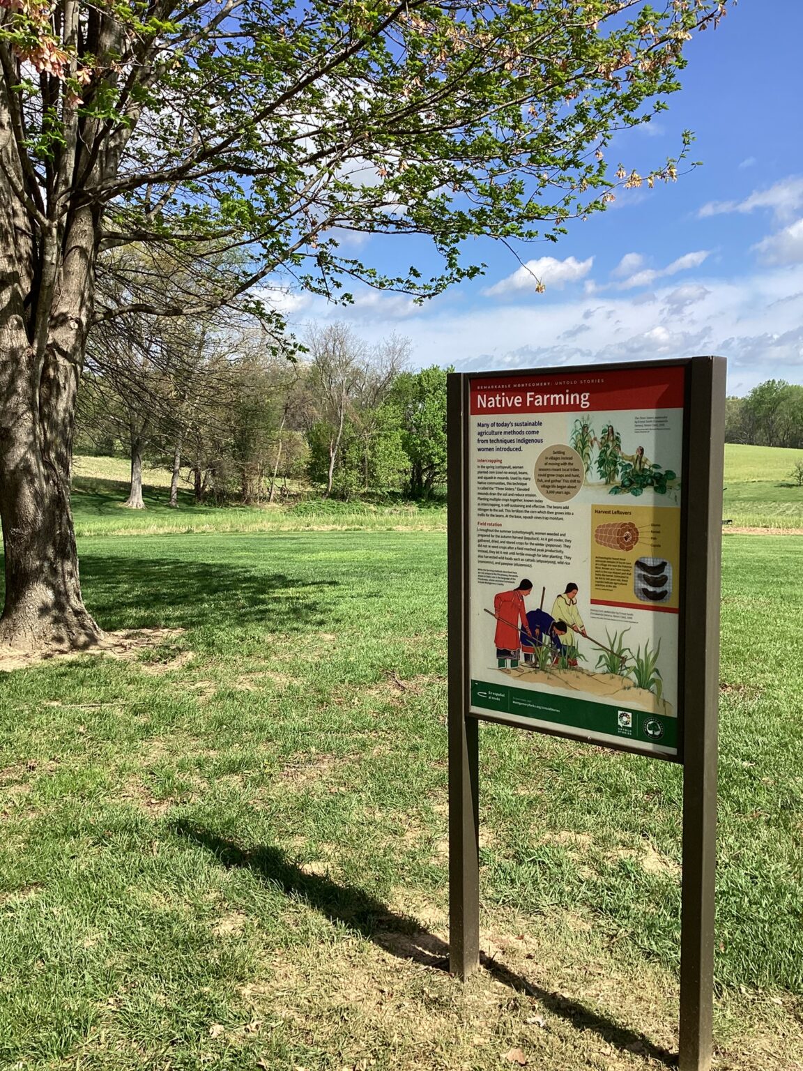 Indigenous Signage Project - Montgomery Parks